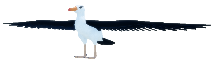 Albatross | Feather Family Wiki | Fandom