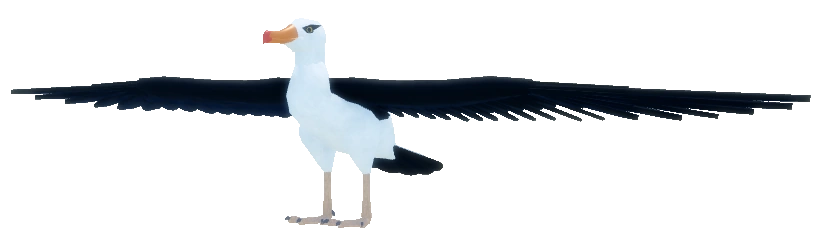 Albatross | Feather Family Wiki | Fandom