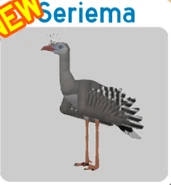 Seriema | Feather Family Wiki | Fandom