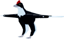 Archaeopteryx | Feather Family Wiki | Fandom