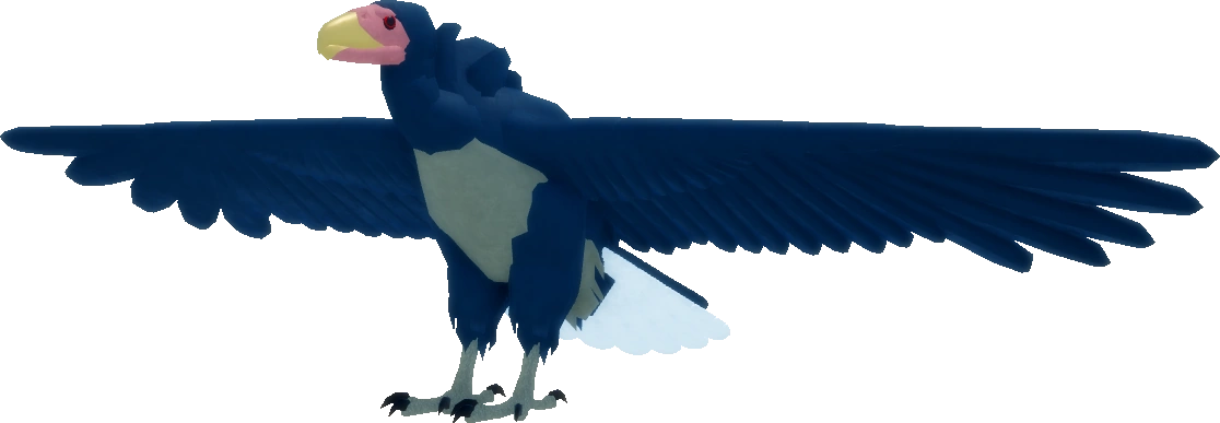 Argentavis Skeleton