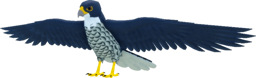 Falcon | Feather Family Wiki | Fandom