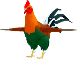 Chicken | Feather Family Wiki | Fandom