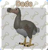 Dodo | Feather Family Wiki | Fandom
