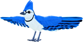 Jay | Feather Family Wiki | Fandom