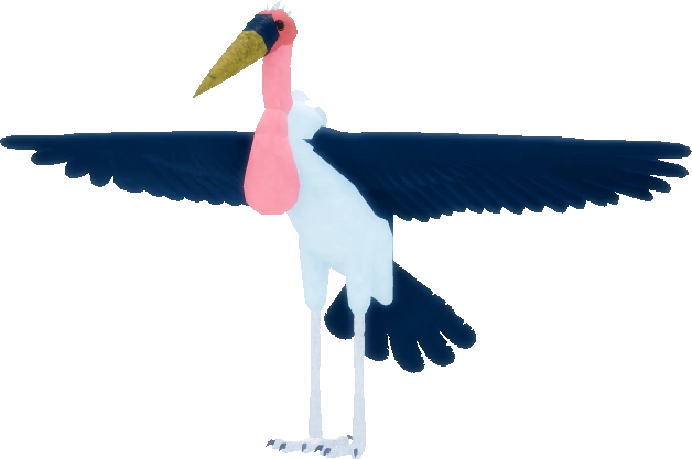 Stork | Feather Family Wiki | Fandom