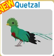 Quetzal | Feather Family Wiki | Fandom