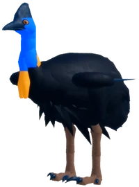 Cassowary | Feather Family Wiki | Fandom