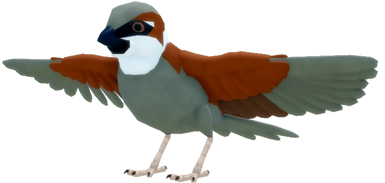 User blog:LunarMothArt/avians | Feather Family Wiki | Fandom