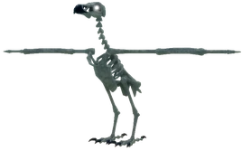 Skeleton | Feather Family Wiki | Fandom