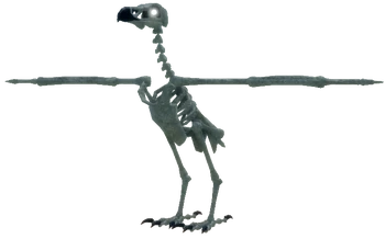 Skeleton | Feather Family Wiki | Fandom