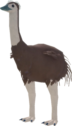 Elephant Bird | Feather Family Wiki | Fandom