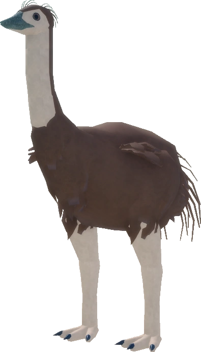 Elephant Bird | Feather Family Wiki | Fandom