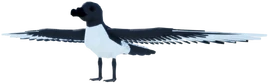 Petrel | Feather Family Wiki | Fandom