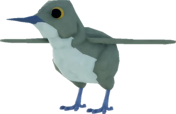 Hummingbird | Feather Family Wiki | Fandom