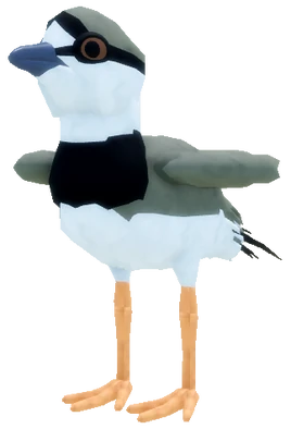 Plover | Feather Family Wiki | Fandom