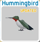 Hummingbird | Feather Family Wiki | Fandom