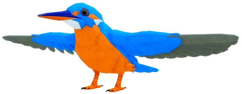 Kingfisher | Feather Family Wiki | Fandom