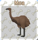 Moa | Feather Family Wiki | Fandom