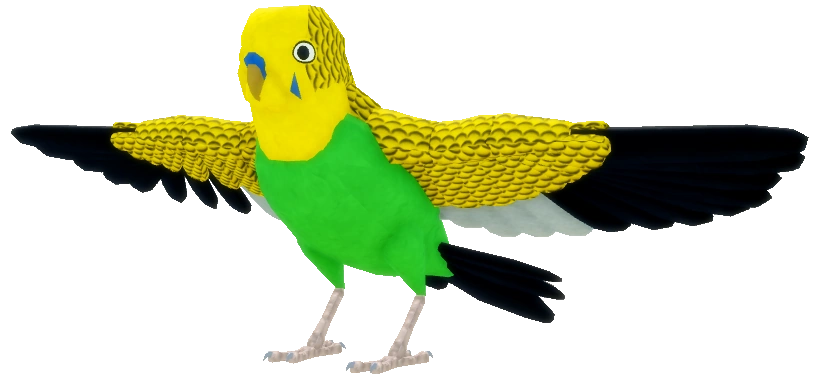 Parakeet | Feather Family Wiki | Fandom