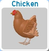 Chicken | Feather Family Wiki | Fandom