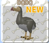 Dodo | Feather Family Wiki | Fandom