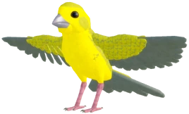 Finch | Feather Family Wiki | Fandom