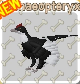 Archaeopteryx | Feather Family Wiki | Fandom