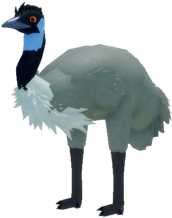 Emu | Feather Family Wiki | Fandom