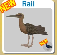 Rail | Feather Family Wiki | Fandom