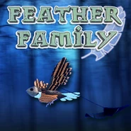 Nightjar | Feather Family Wiki | Fandom