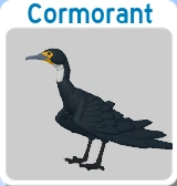 Cormorant | Feather Family Wiki | Fandom