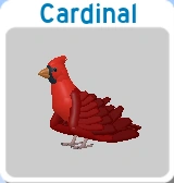 Cardinal | Feather Family Wiki | Fandom