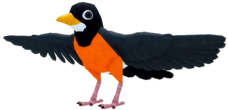 Robin | Feather Family Wiki | Fandom