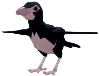 Raven | Feather Family Wiki | Fandom