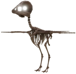 Skeleton | Feather Family Wiki | Fandom