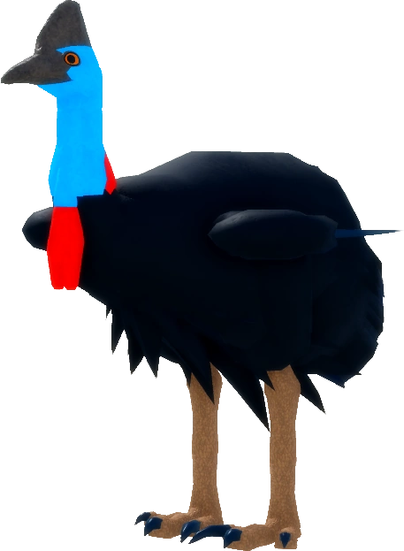Cassowary | Feather Family Wiki | Fandom