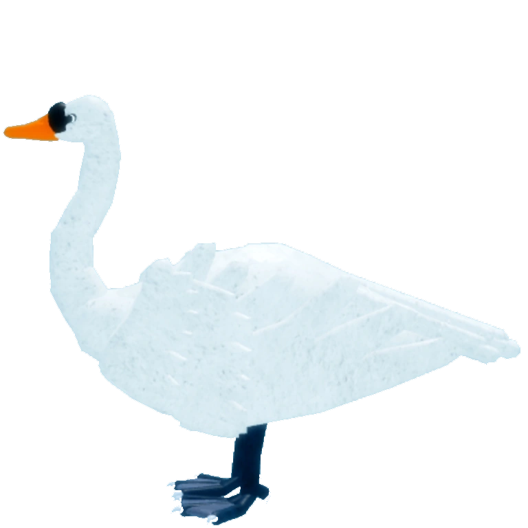 Swan | Feather Family Wiki | Fandom