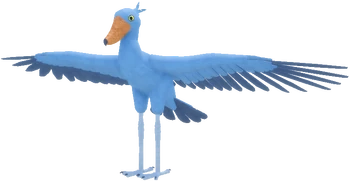 Shoebill | Feather Family Wiki | Fandom