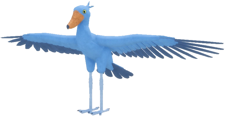 Shoebill | Feather Family Wiki | Fandom