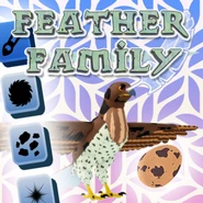 Hawk | Feather Family Wiki | Fandom