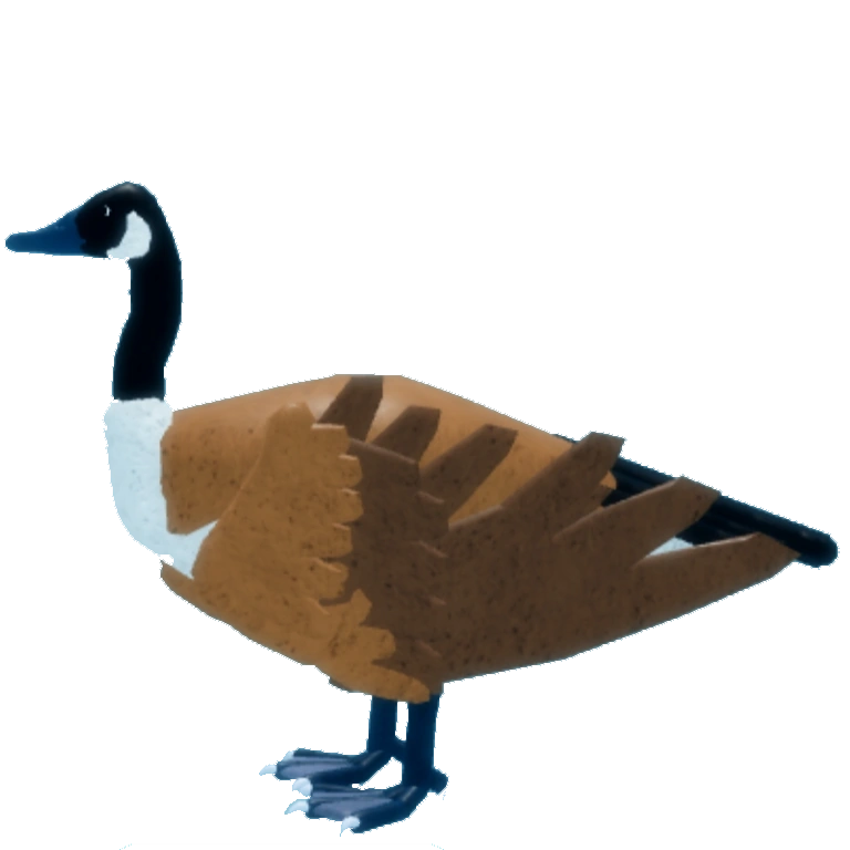 Goose | Feather Family Wiki | Fandom