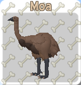 Moa | Feather Family Wiki | Fandom