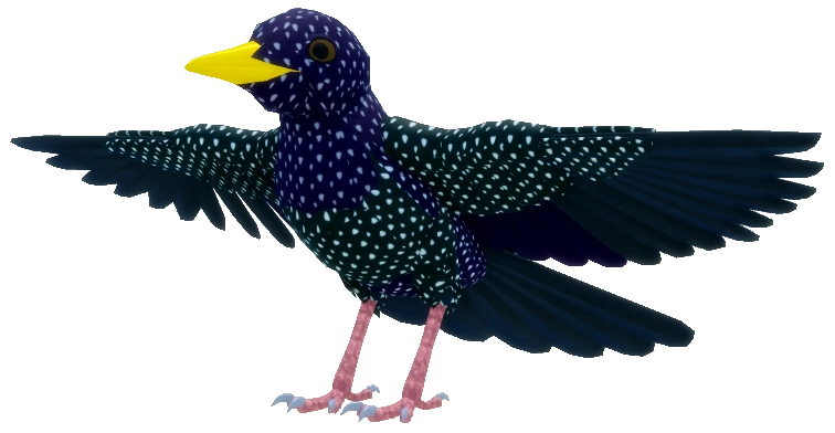 Starling | Feather Family Wiki | Fandom
