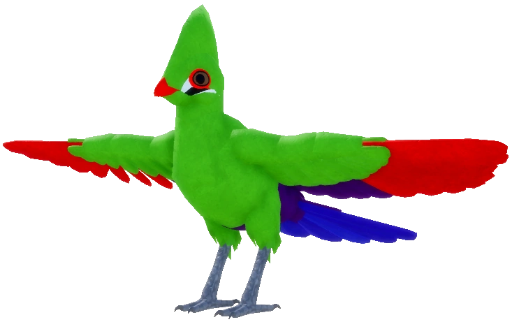 Turaco | Feather Family Wiki | Fandom