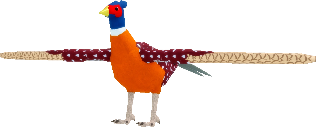 Pheasant | Feather Family Wiki | Fandom