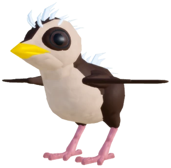 Robin | Feather Family Wiki | Fandom