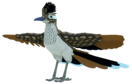 Cuckoo | Feather Family Wiki | Fandom