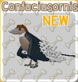 Confuciusornis | Feather Family Wiki | Fandom