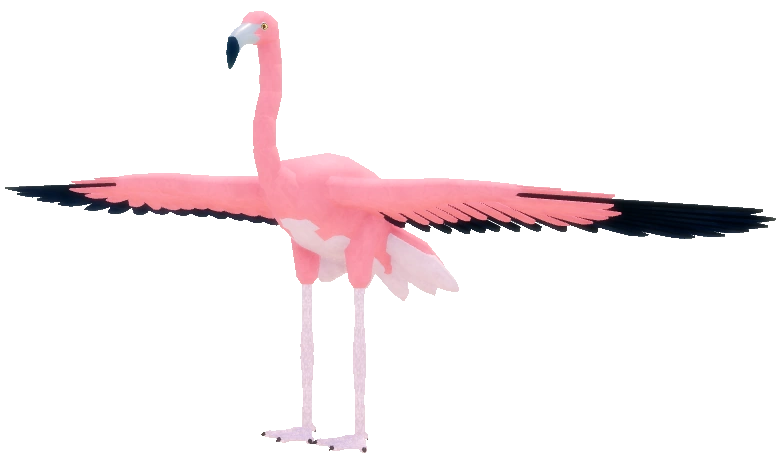 Flamingo | Feather Family Wiki | Fandom